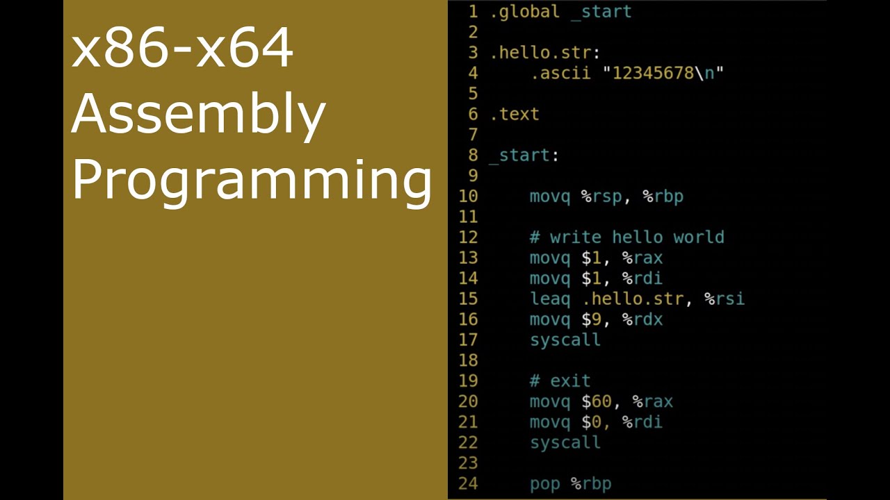 x86-64 Assembly (ASM) 5 - Constants