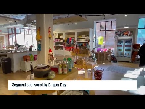 Pamper your pup at The Dapper Dog