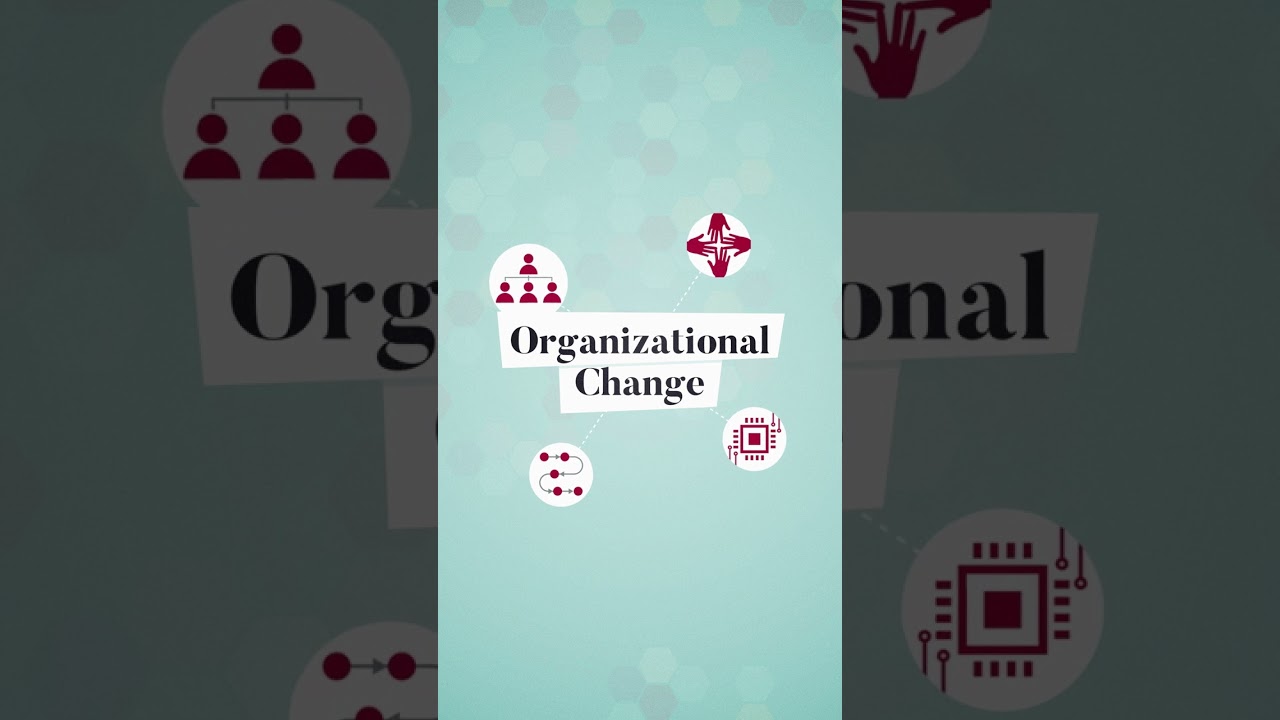Steps in the Change Management Process