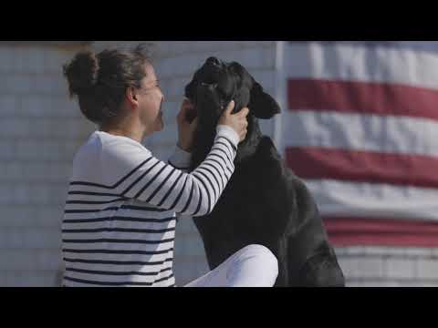 Nantucket Pet Friendly Boutique Hotel
