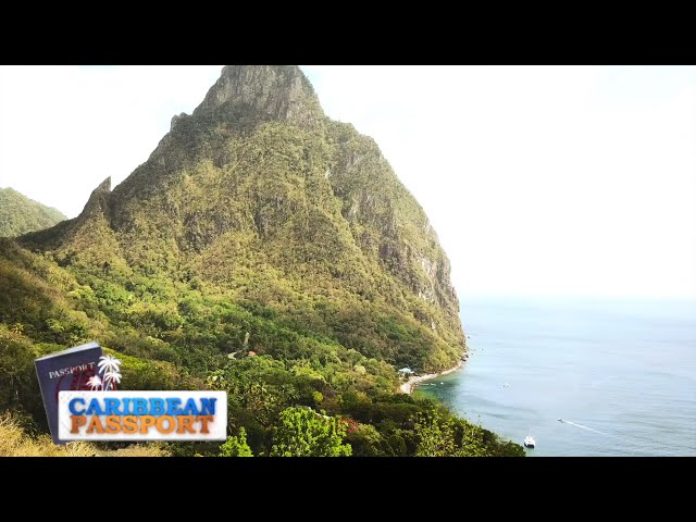 The eyes and ears of the Caribbean. | CaribVision