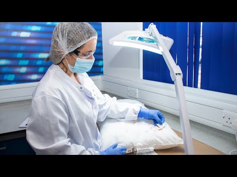 Crime Scene Investigation - How Forensic Biology works