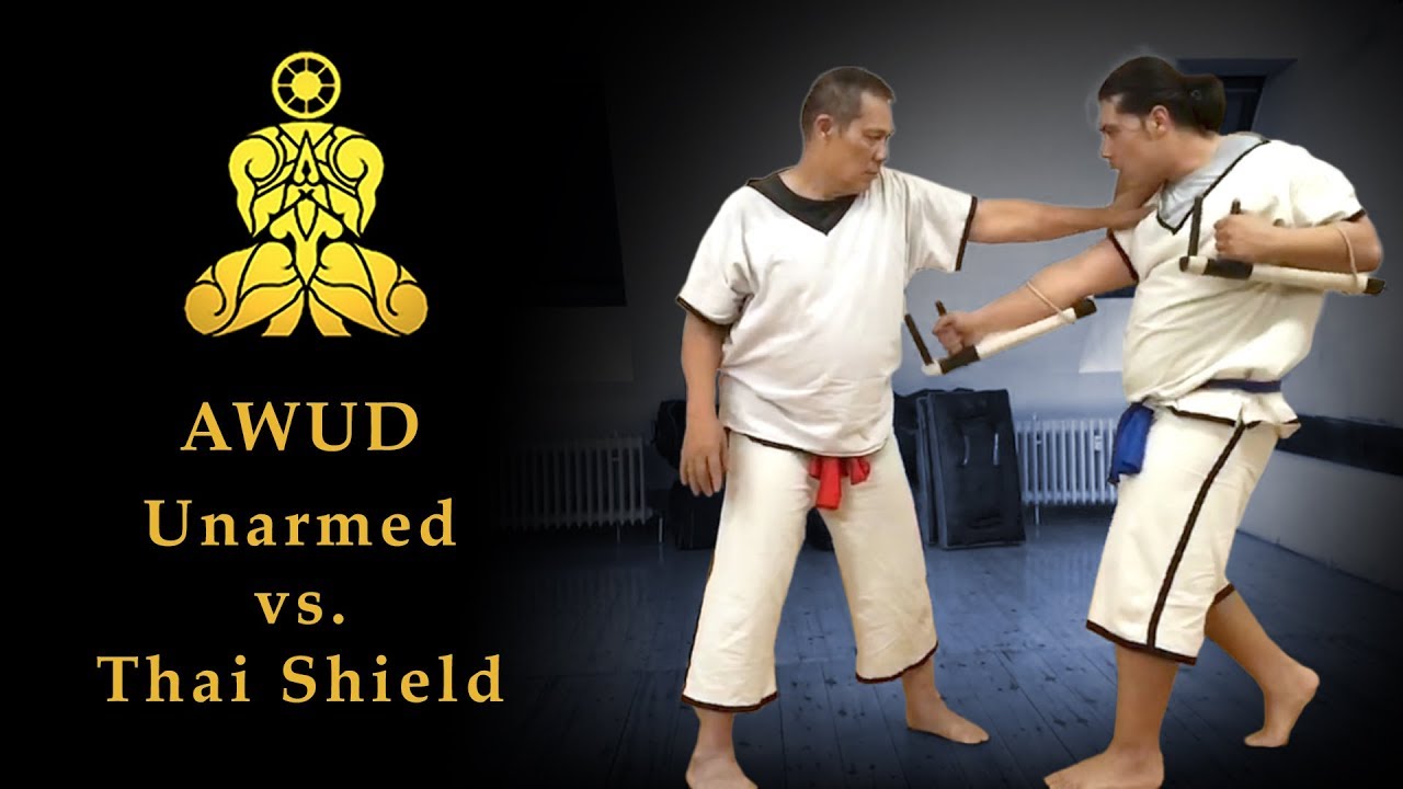 AWUD - Basic Unarmed vs. Thai Shield Training