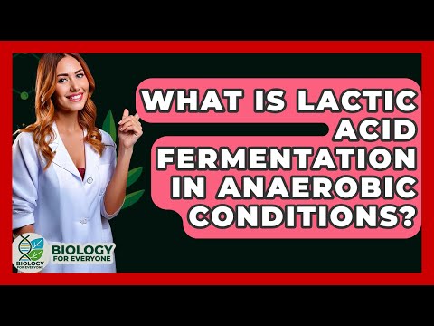 What Is Lactic Acid Fermentation In Anaerobic Conditions? - Biology For Everyone