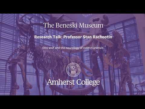 Dire Wolf and the Neurology of Extinct Animals with Professor Stan Rachootin