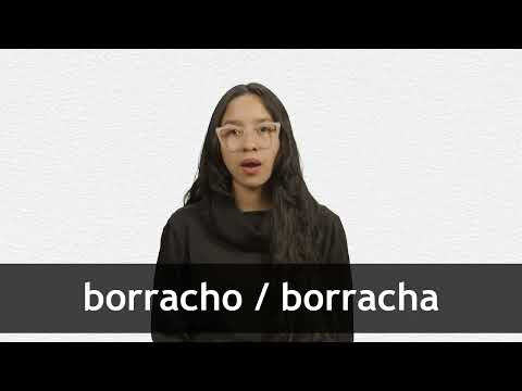 English Translation of “BORRACHO” | Collins Spanish-English Dictionary