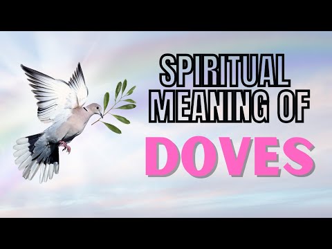 What is the Spiritual Meaning of DOVES - Exploring the Dove Symbolism