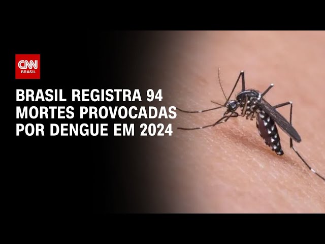Brasil registra mais de 550 mil casos de dengue em 2024 | CNN Brasil
