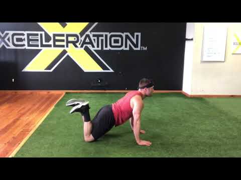 Take On 10 Different Burpee Types With This Full Body Workout