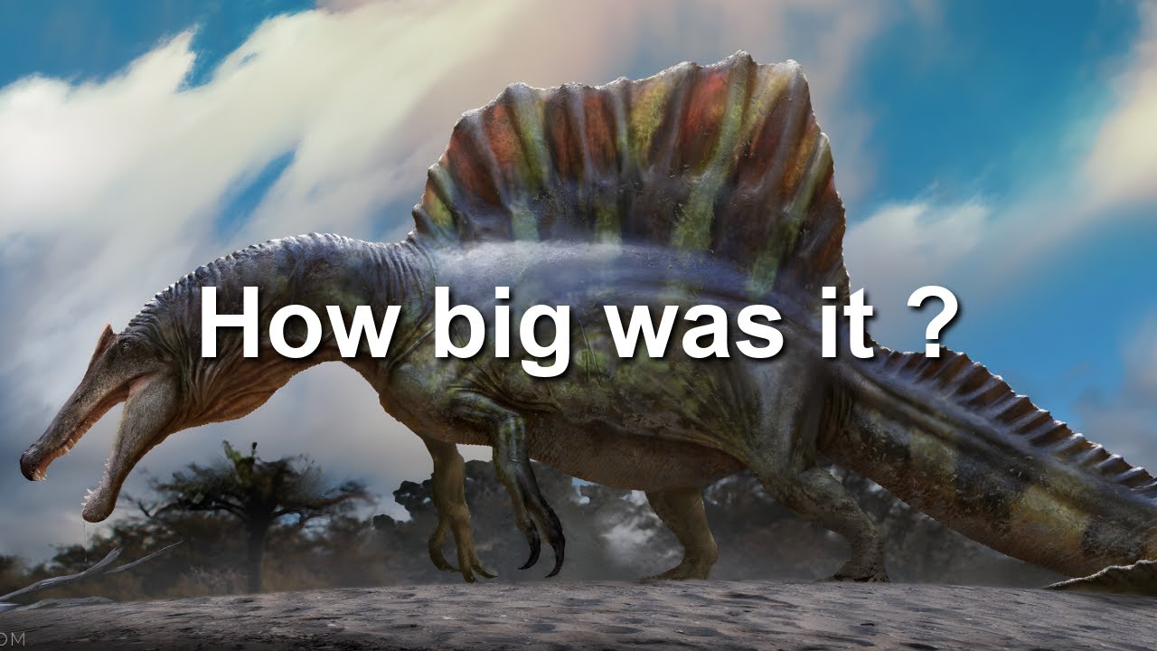 How big was spinosaurus? - 2025 the biggest specimens