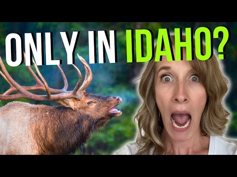 Moving to Idaho in 2025: 10 Things That Will Surprise You