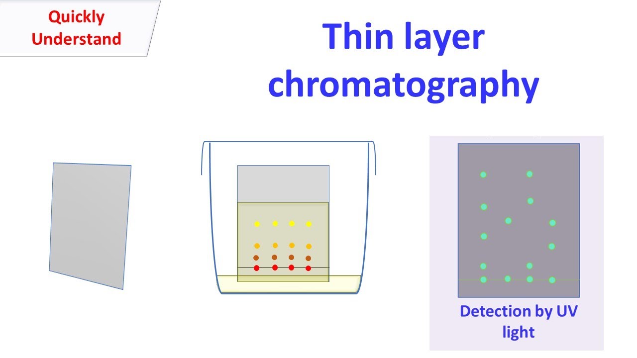 Understanding Thin Layer Chromatography: A Comprehensive Guide | Galaxy.ai