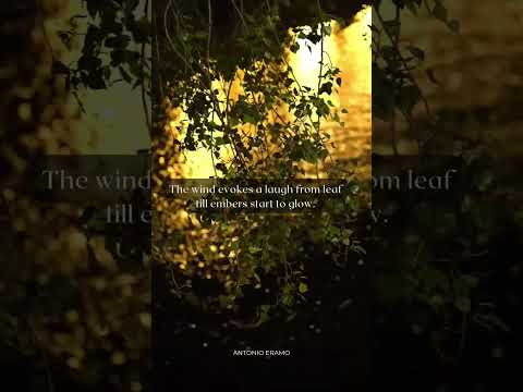 A short poem from my upcoming collection Syntaxi Cabs #nature #winter #seasons #river #hiking