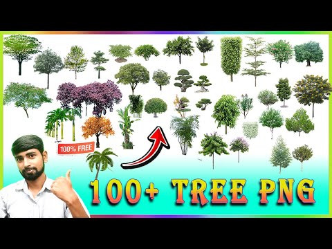 100+ 𝐓𝐑𝐄𝐄 𝐏𝐍𝐆 File Free Download || Free 𝐓𝐑𝐄𝐄 𝐏𝐍𝐆 Pack Download For Editing 2024