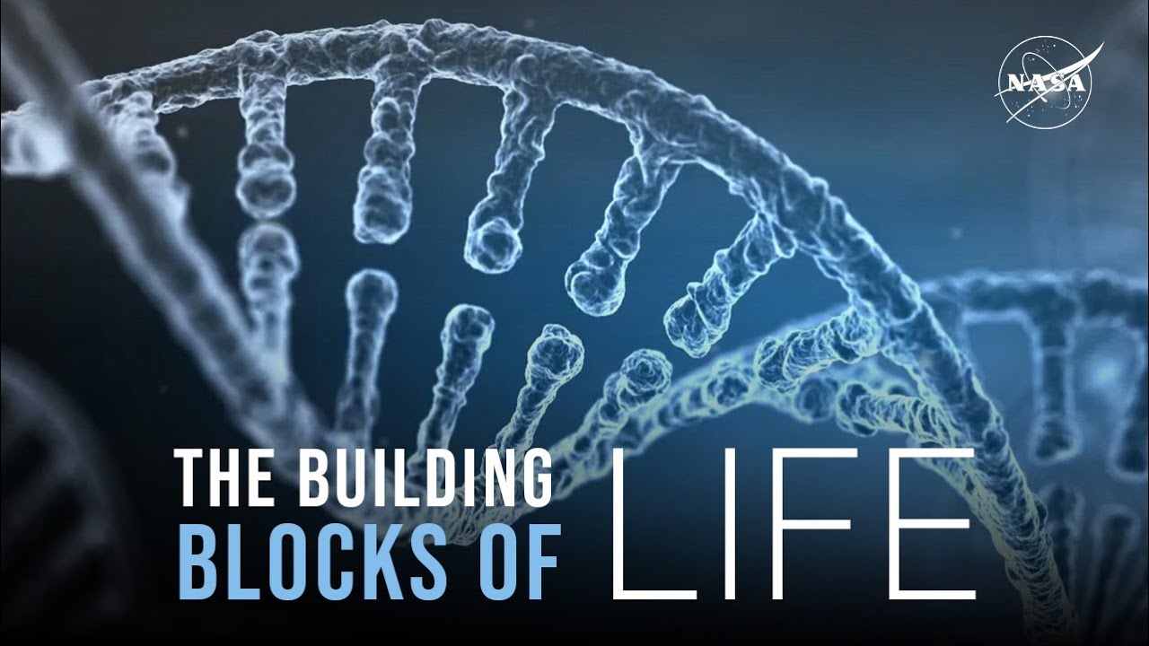 What You Need to Know About the Building Blocks of Life