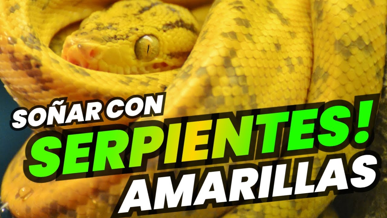 SOÑAR CON SERPIENTES AMARILLAS