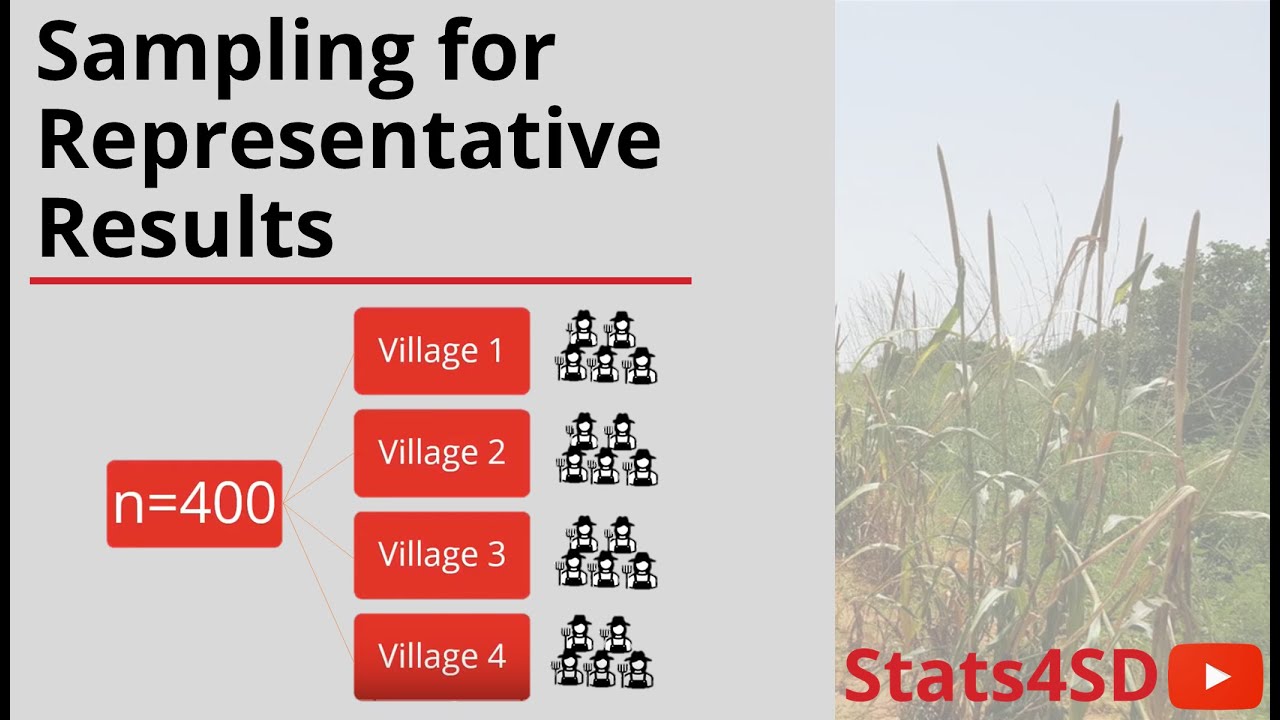 Sampling for Representative Results