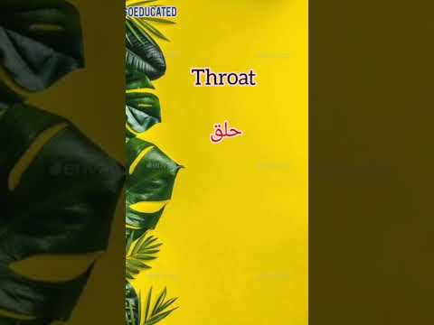 Throat Meaning | Meaning in Urdu | Throat ka Matlab kya hota ha | Throat ka Meaning