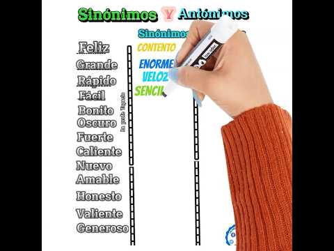 Sinónimos y antónimos ::#profetopacio #profetopacio #13deOctubre #sinonimos #Antonimos #viralshorts