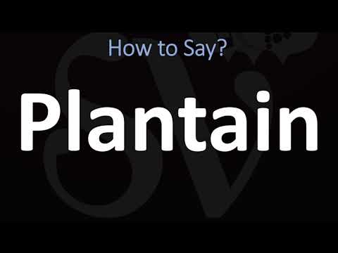 How to Pronounce Plantain? (CORRECTLY)