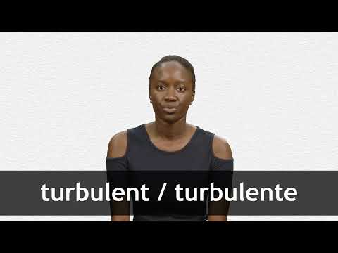 English Translation of “TURBULENT” | Collins French-English Dictionary