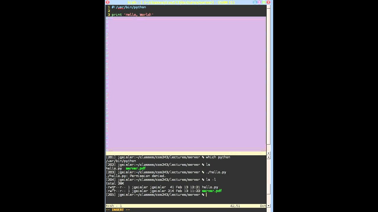 Running python from the command line