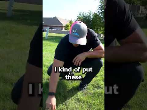 What To Do With Soil Plugs After Lawn Aeration | #shorts