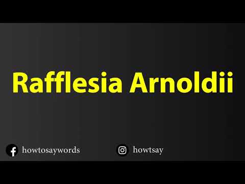 How To Pronounce Rafflesia Arnoldii