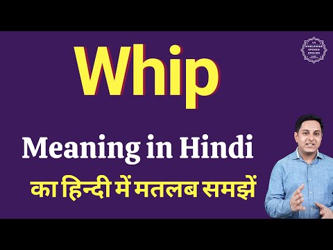 Whip meaning in Hindi | Whip ka kya matlab hota hai | daily use English words
