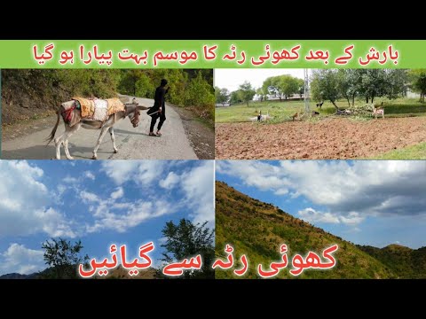 Weather of khuiratta after first rain 2022 || #azadkashmir #khuiratta #kashmir #heaven
