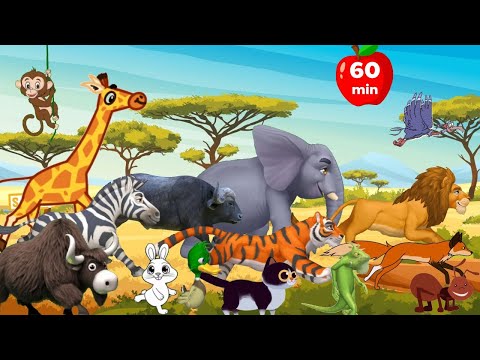 Animal ABC Songs & Safari Animal Sounds Songs Compilation (1 hour) | Nursery Rhymes