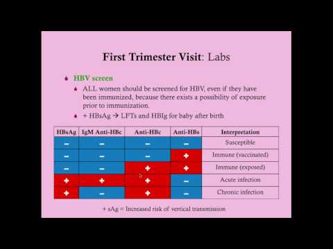First Trimester Visit - CRASH! Medical Review Series