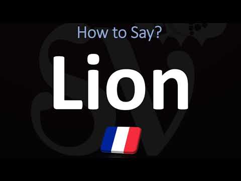 How to Say Lion in French?