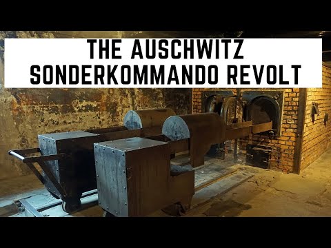 The Auschwitz Sonderkommando Revolt of 1944