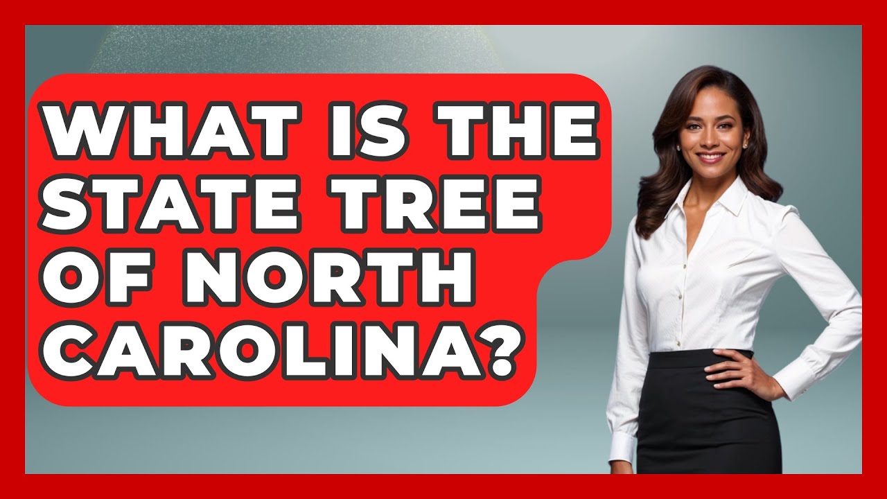 What Is The State Tree Of North Carolina? - Southern Culture Collective