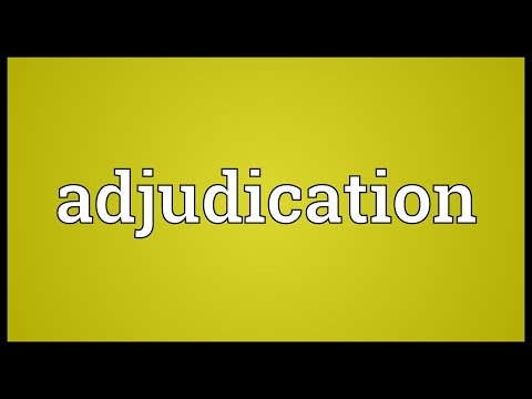 Adjudication Meaning