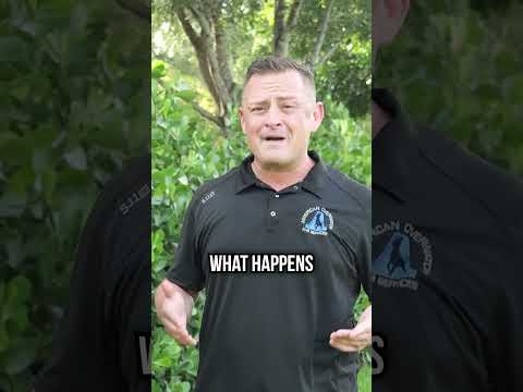 Does a Guard Dog Need to Know How to Bite?