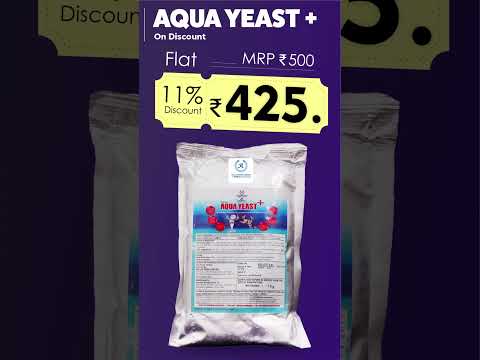 Dry Yeast at Best Price in India