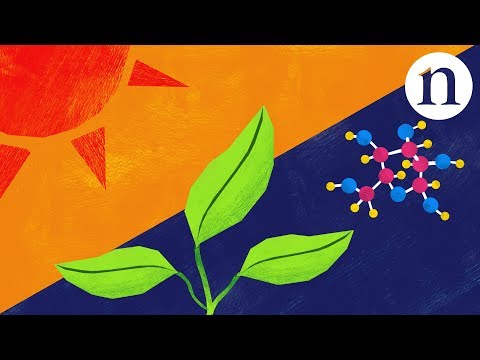 Learning from leaves: Going green with artificial photosynthesis