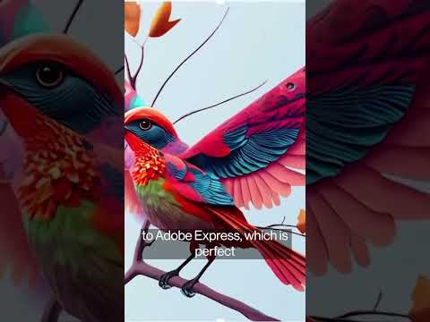 Adobe's Head of Digital on how it's trying to stand out in the content creator economy