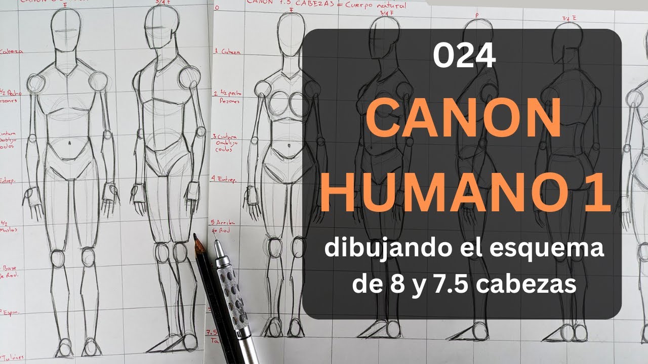 CLASE 24 | CANON HUMANO PARTE 1 | Tipos, usos y diferencias