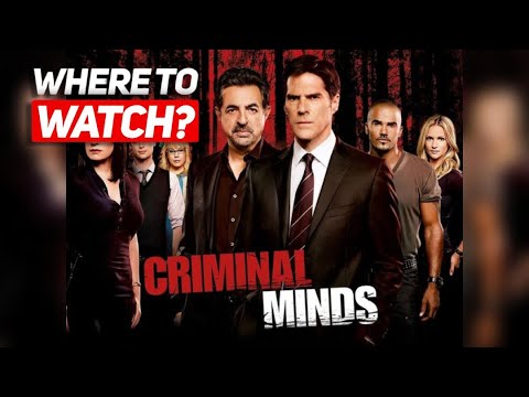 Where To Watch Criminal Minds Full Show: Free Guide | Best Crime Drama