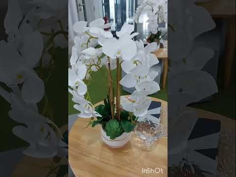 white flower #viral youtube