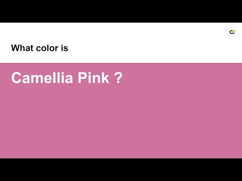 Camellia Pink color #cd739d hex color - Violet color - Cool color cd739d