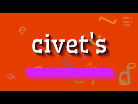 How to say "civet's"! (High Quality Voices)