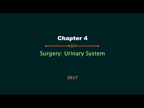 HIT241 Ch 4 - Surgery Urinary System (2017)