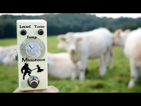 MOVALL AUDIO MM-09 MINOTAUR Klon Centaur Inspired Overdrive | Reverb