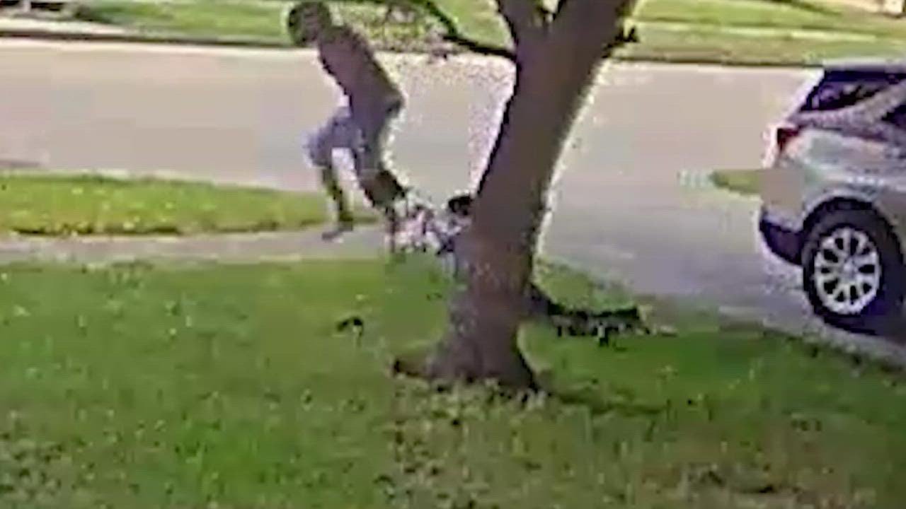 Houston crime: Robber drags disabled woman while stealing purse