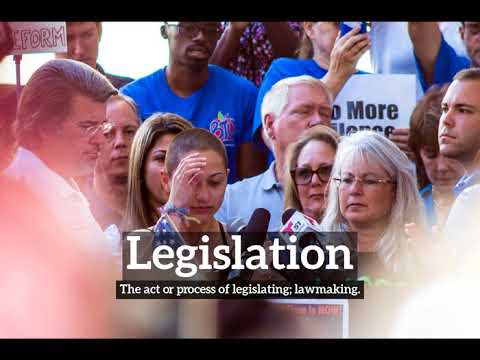 What is Legislation? | How Does Legislation Look? | How to Say Legislation in English?